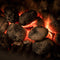 Brazier Homefire Smokeless Coal | 10kg Bag – UK Business Supplies