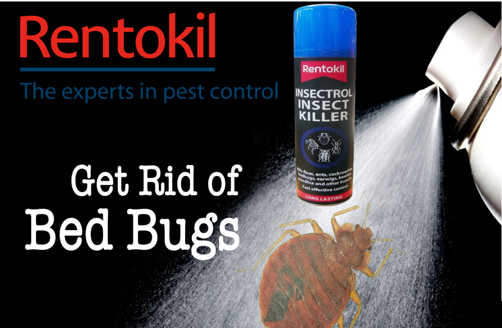 Rentokil Insectrol Insect Killer 250ml - UK BUSINESS SUPPLIES – UK ...