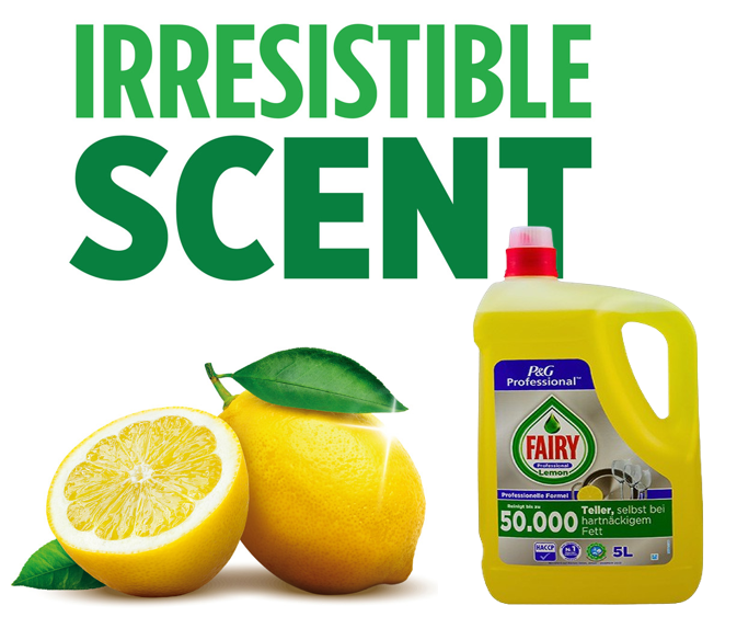 Fairy Original Professional Washing Up Liquid 5 Litres - UK BUSINESS ...