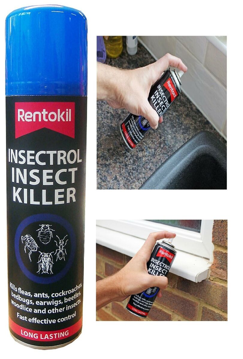 Rentokil Insectrol Insect Killer 250ml - UK BUSINESS SUPPLIES – UK ...
